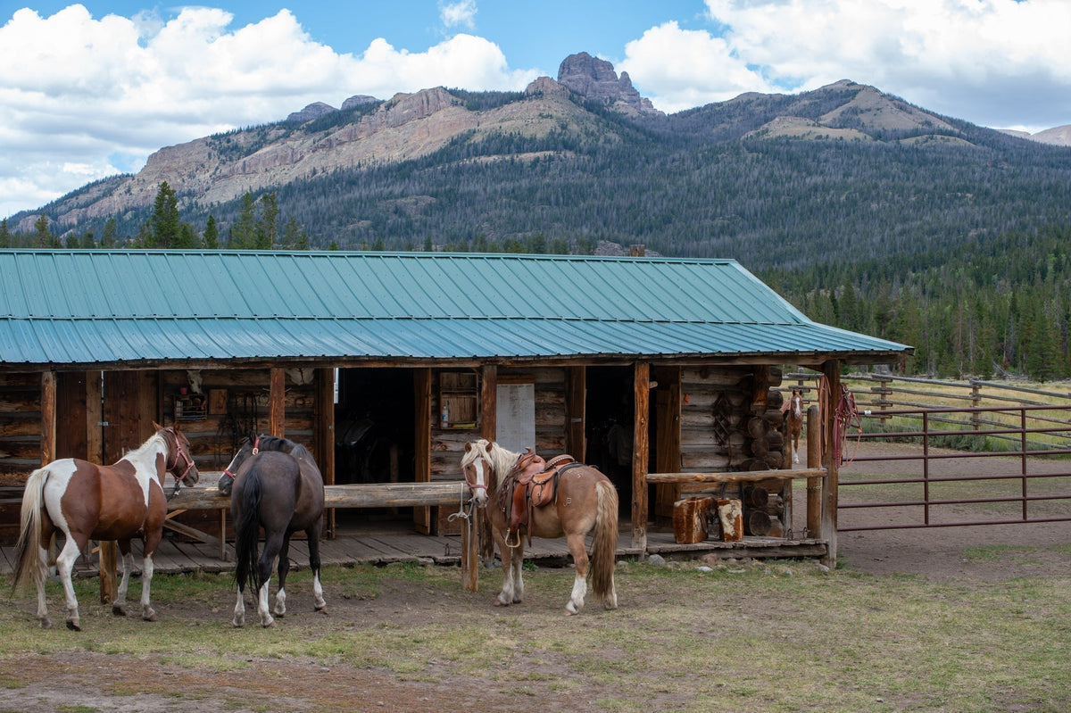 Uniquely American: Inside a recently restored 'dude ranch' in Wyoming ...
