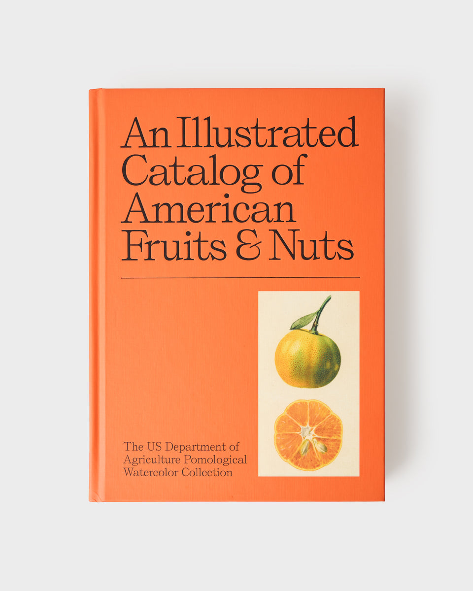 Illustrated Catalog of American Fruit and Nuts – Cabana Magazine