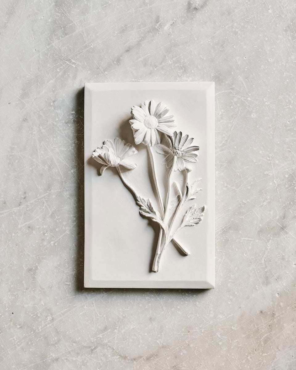 Botanical Daisies Fine Plaster Relief – Cabana Magazine