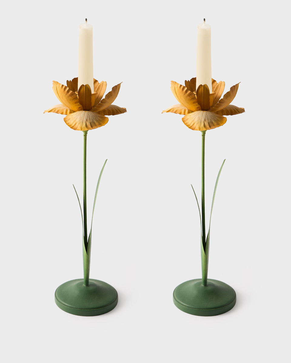 Daffodil Painted Metal Candle Holder, Yellow (Set of 2) – Cabana Magazine